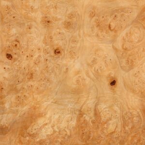 Come riconoscere il legno di acero>Mestierincorso.it